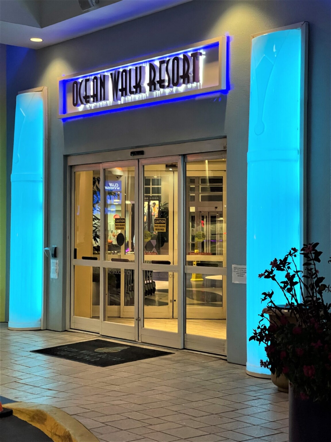 Photo Gallery – Ocean Walk Life